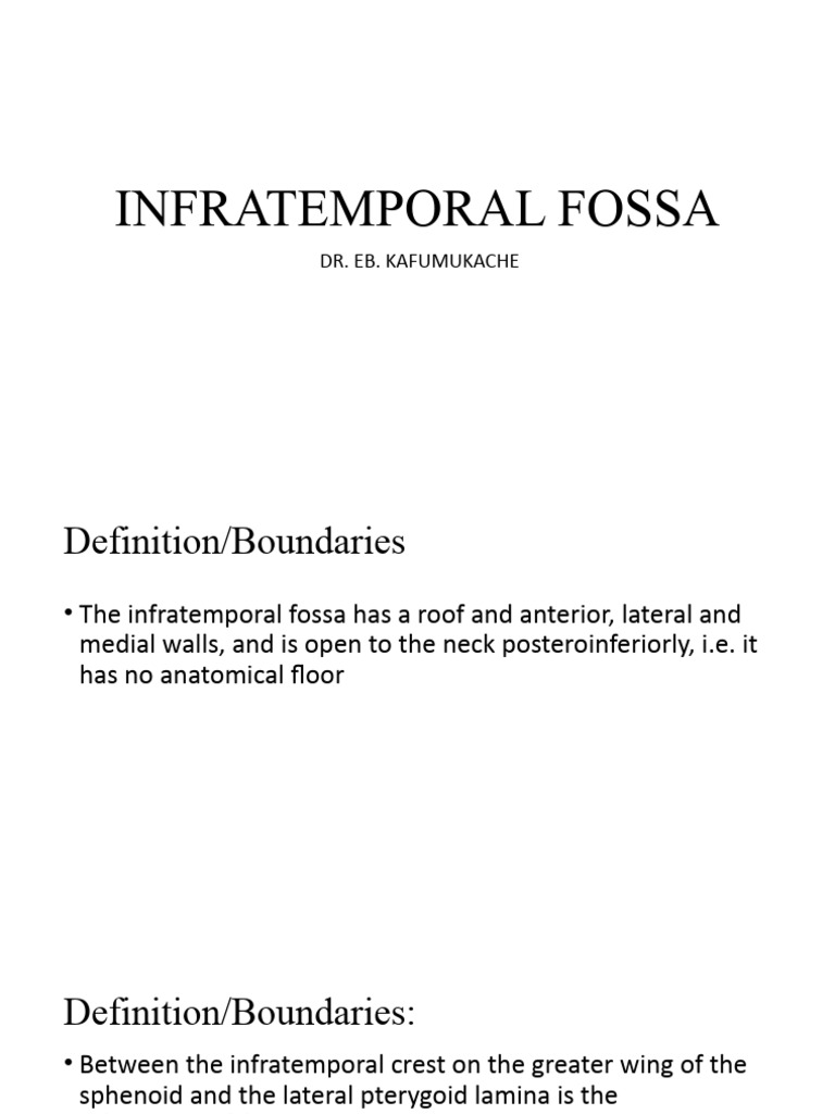 Infratemporal Fossa | Download Free PDF | Musculoskeletal System | Anatomy