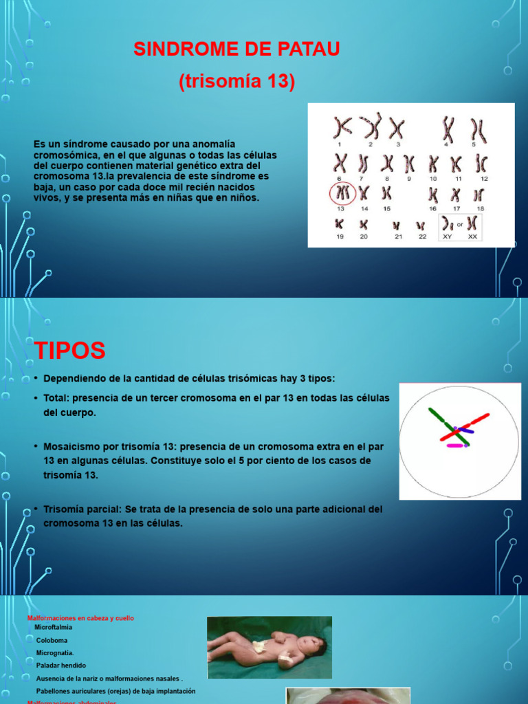 Sadith | Descargar gratis PDF | Enfermedades y trastornos ...