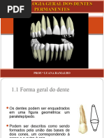 Bula Combodart | PDF | Câncer de próstata | Câncer