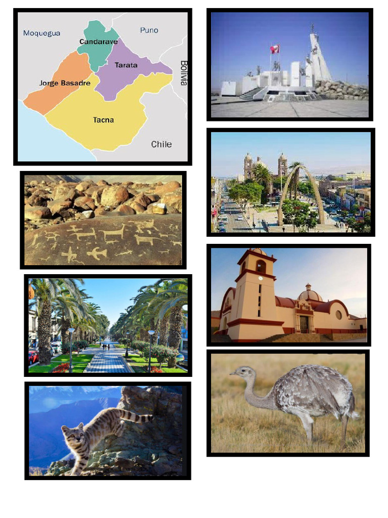 Tacna Flora y Fauna y Produccion | PDF