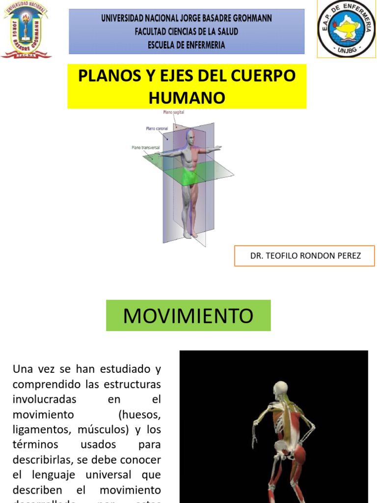 Planos y Ejes del Cuerpo Humano | PDF | Términos anatómicos de ...