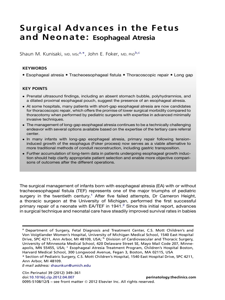 Surgical Advances in The Fetus and Neonate 2012 | PDF | Esophagus ...