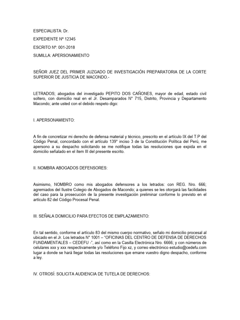 Apersonamiento y Tutela de Derechos en Caso Penal | PDF | Fiscal ...