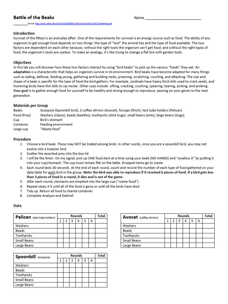 Bird Beak Adaptation Lab Activity | PDF | Beak | Tools