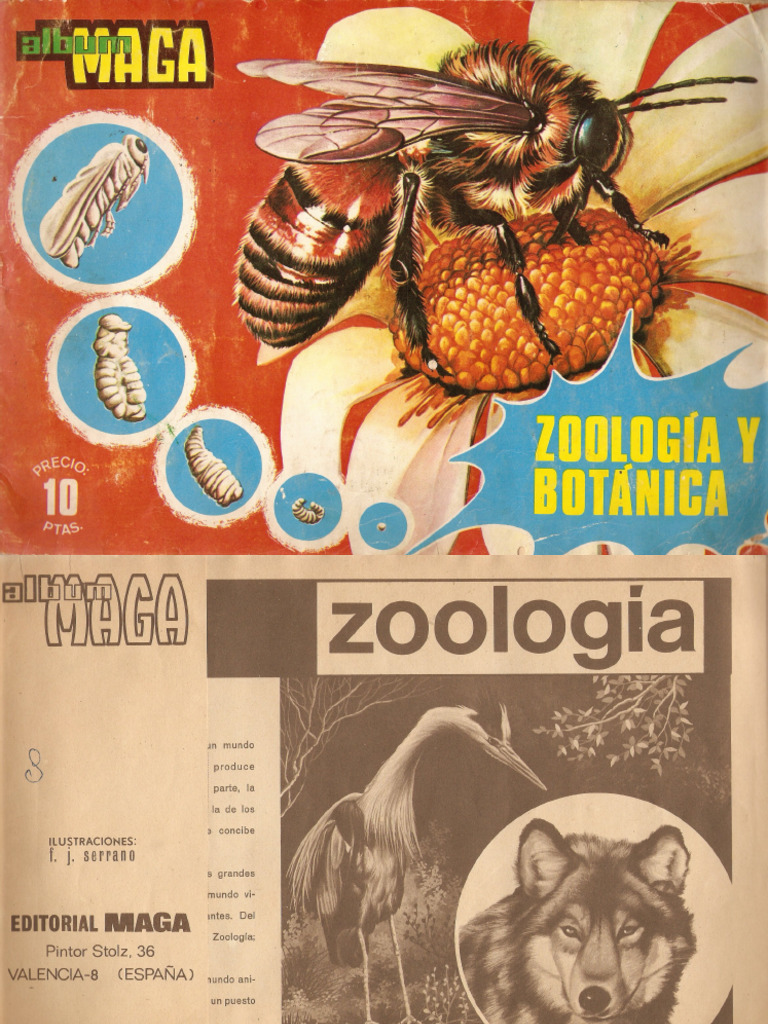 Zoologia y Botanica 1969 (Maga) | PDF