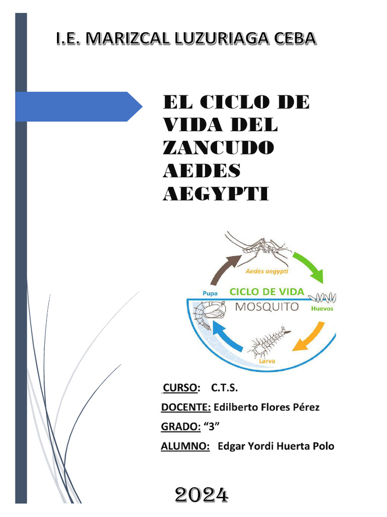 Ciclo de Vida del Aedes Aegypti | PDF | Mosquito | Aedes aegypti