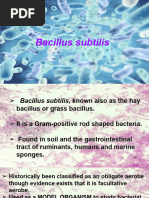 Bacillus Subtilis | PDF | Sterilization (Microbiology) | Agar