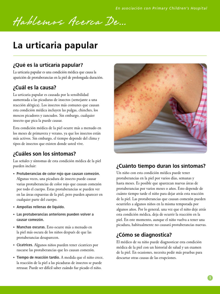 Skin Disorder Papular Urticaria (Let's Talk About... Pediatric Brochure ...