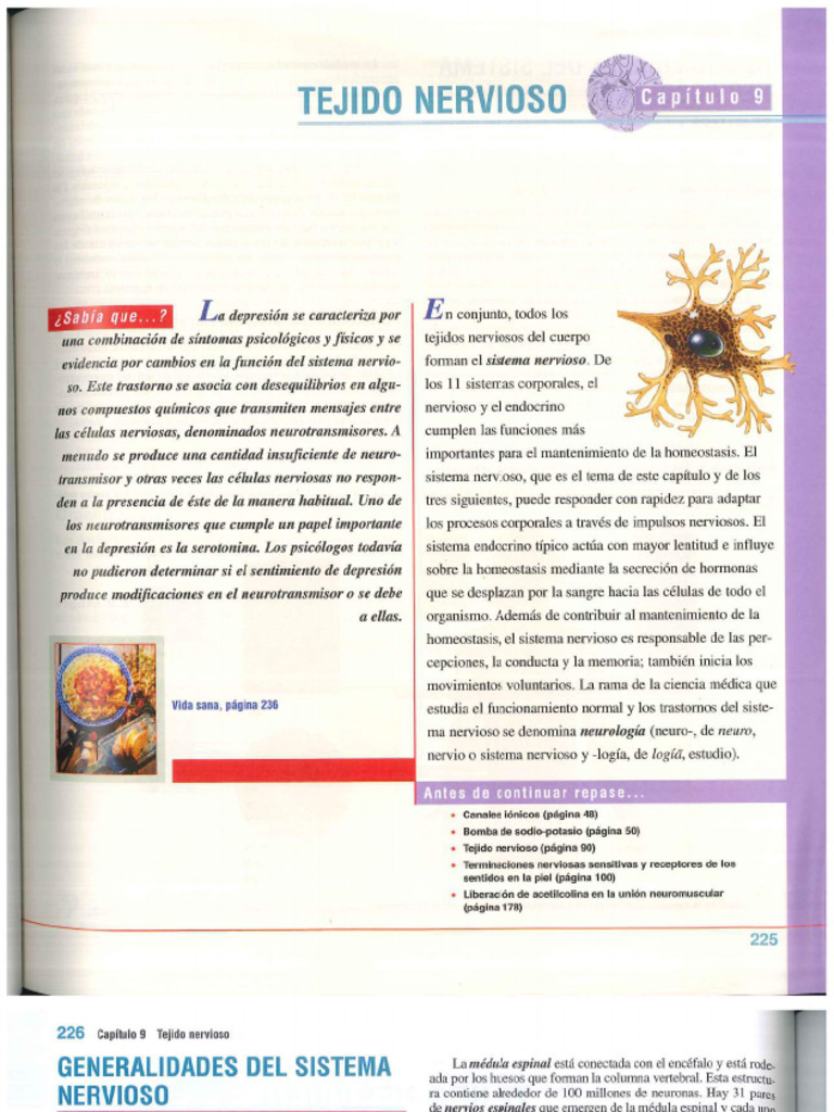 Tortora Introduccion Al Cuerpo Humano Nervioso Cap 9 10 11 Pdf