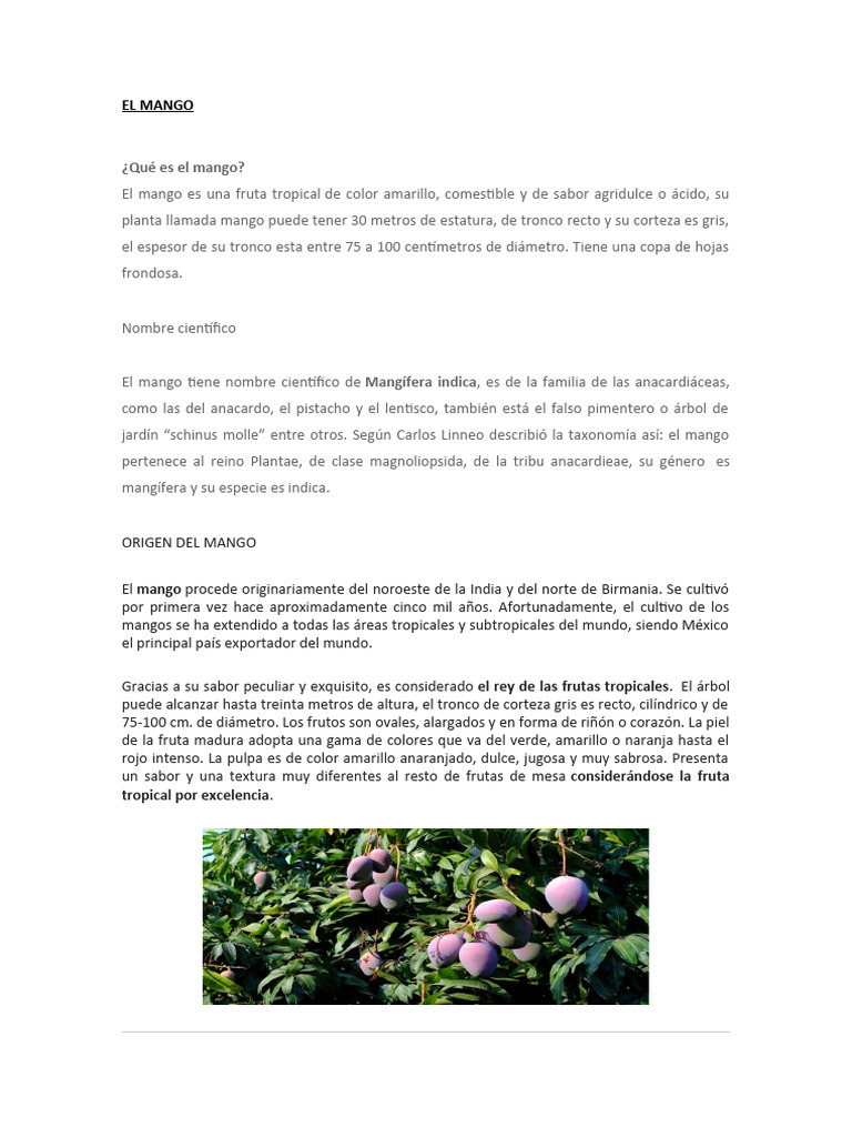 EL MANGO Ecologiaaaaaaaaaaa | PDF | Mango | Injerto