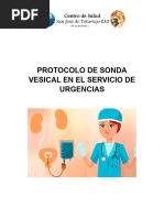 CISTOCLISIS | PDF | Vejiga urinaria | Orina