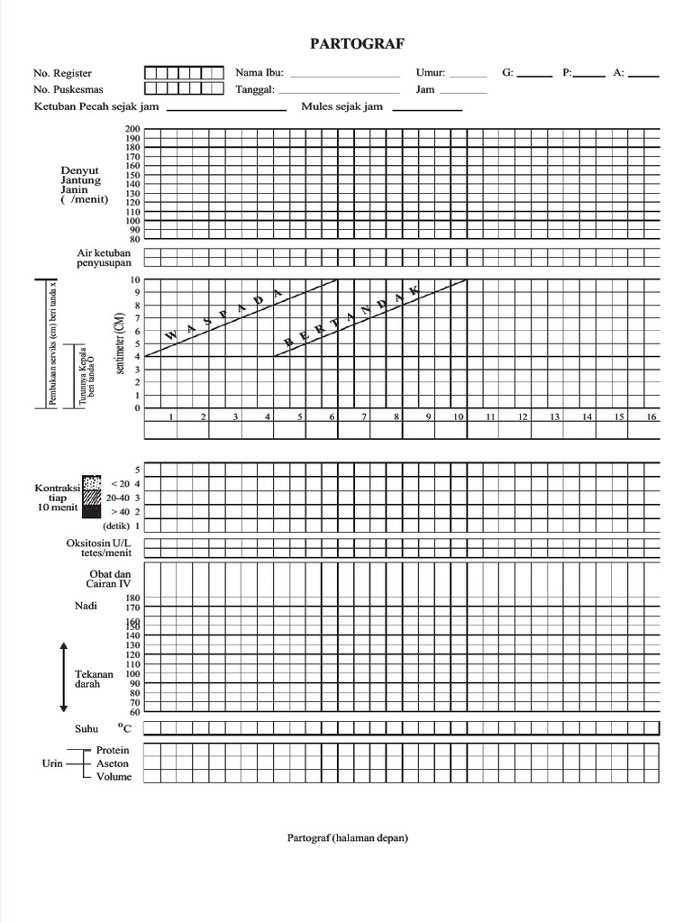 PDF Partograf Compress | PDF