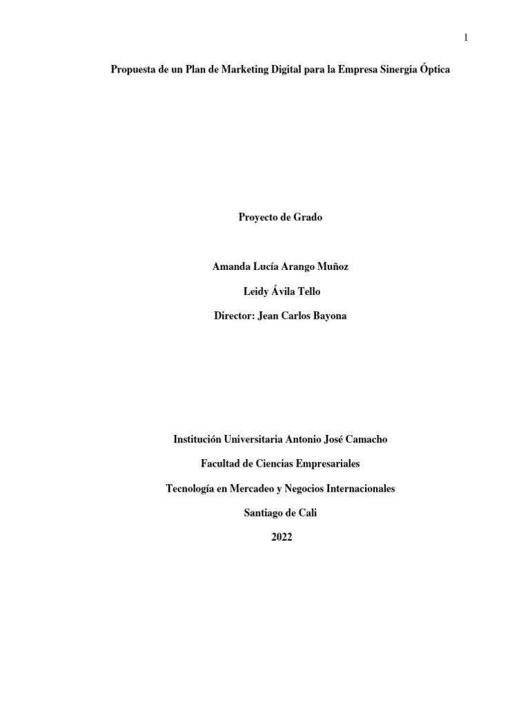 Plan de Marketing Digital Empresa Sinergia Óptica Corregido | PDF | Marketing | Investigación de ...