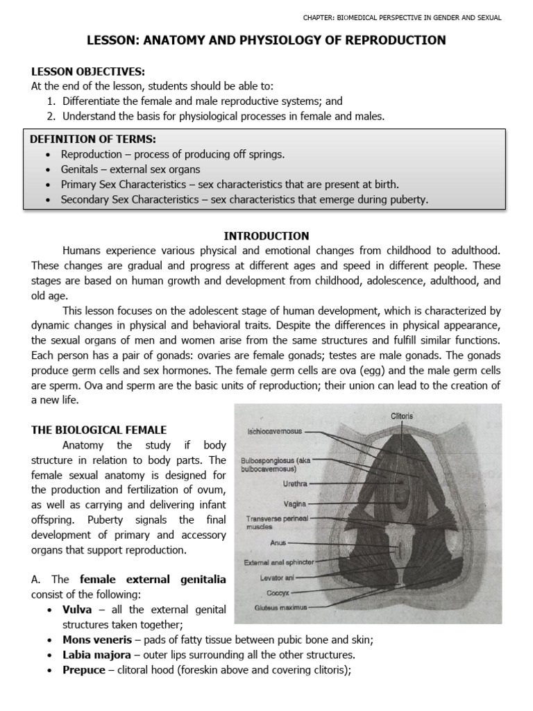 Gned 10 Biomedical Perspective Of Gender And Sexuality Pdf