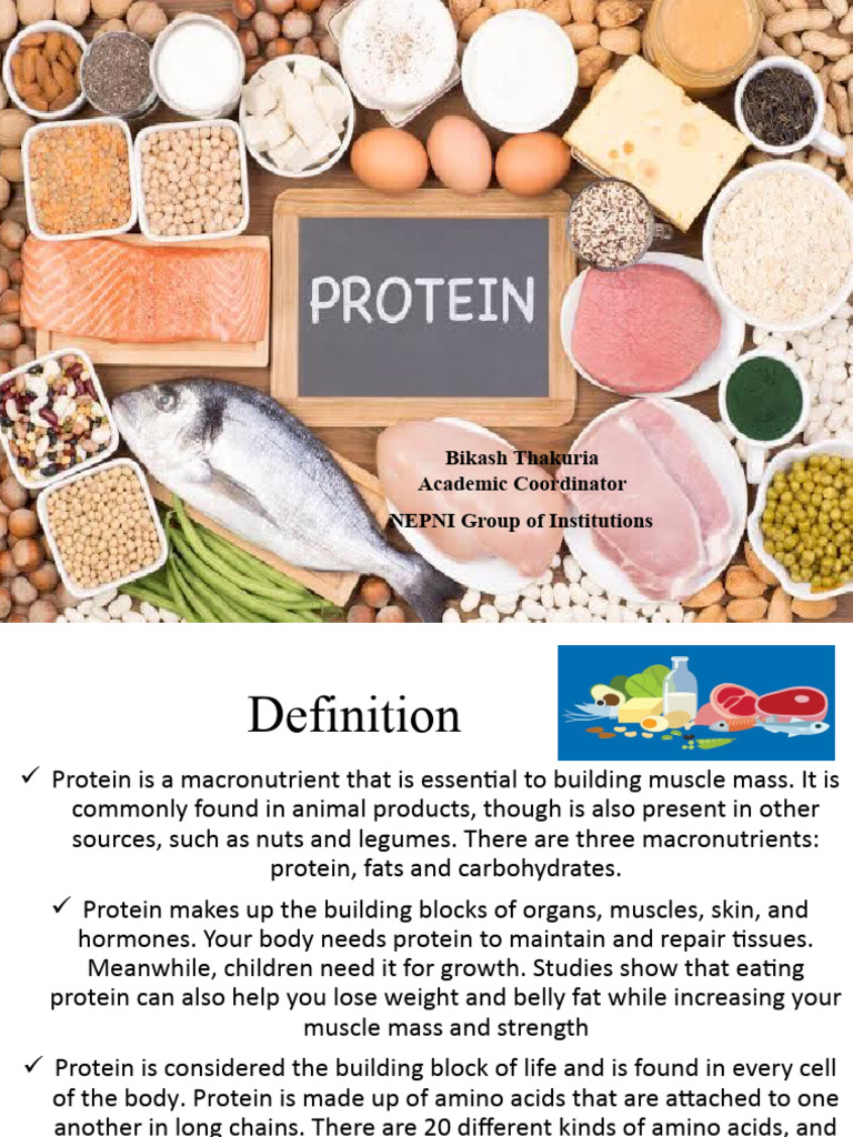 Protein Amino Acid Urea Cycle | PDF | Amino Acid | Protease