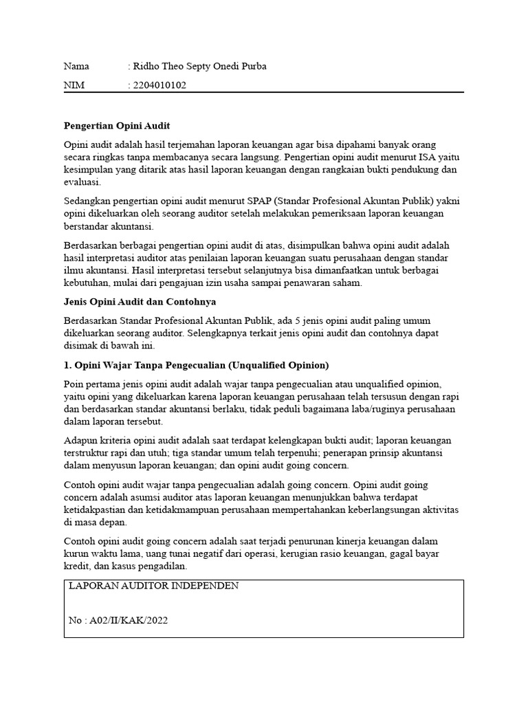 Opini Audit | PDF
