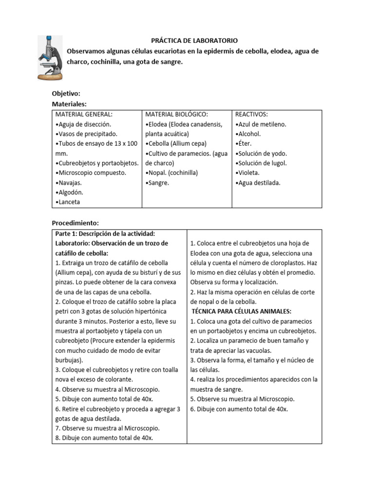 1anexo Act.5-2° | PDF | Cebolla | Biología Celular)