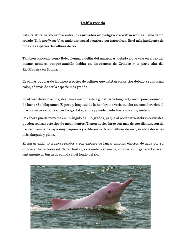 Delfín Rosado | PDF | Hogar, jardinería y bricolaje