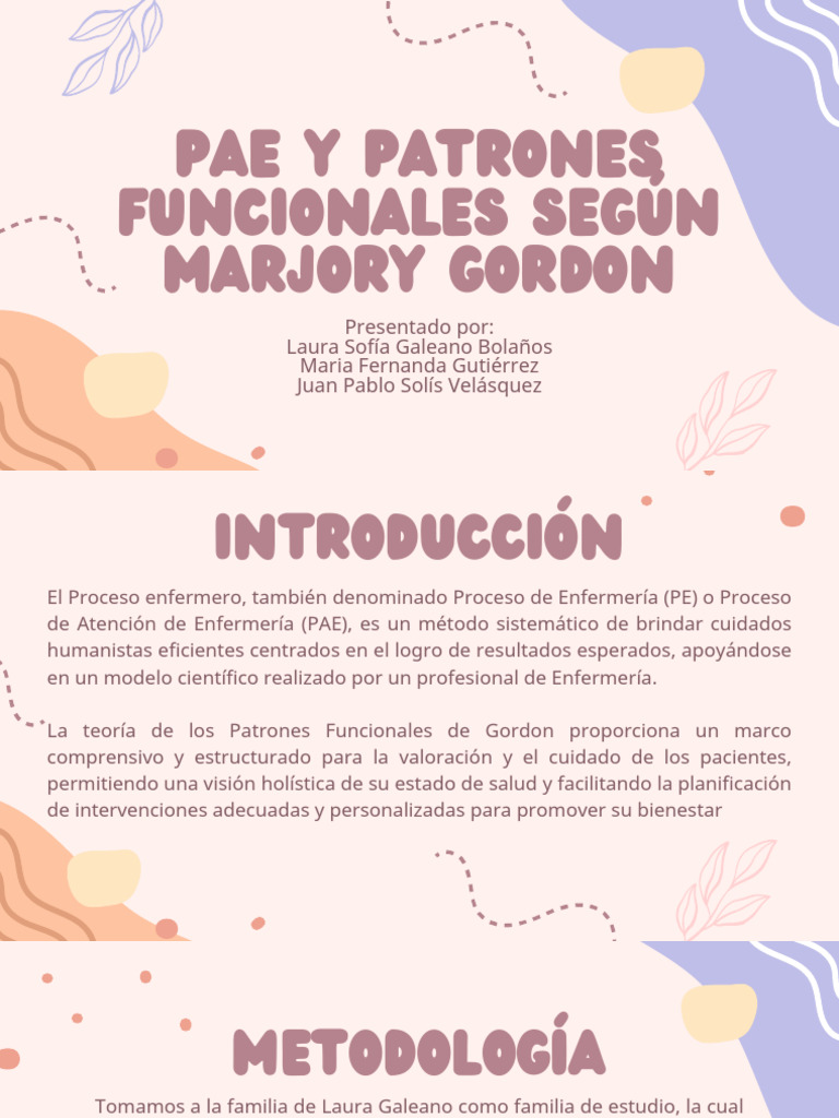 PAE y Patrones Funcionales Según Marjory Gordon | PDF