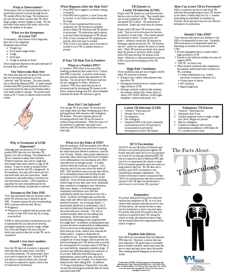 Tb Pamphlet | Tuberculosis | Infection