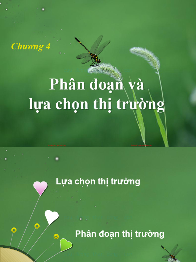 Marketing-Quoc-Te - Le-Thi-Ngoc-Diep - Chuong-4 - Bookbooming-Phan-Doan-Va-Lua-Chon-Thi-Truong ...
