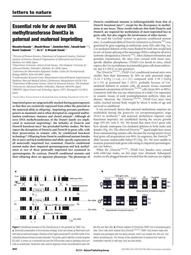 Essential role for de novo DNA methyltransferase Dnmt3a in paternal and ...