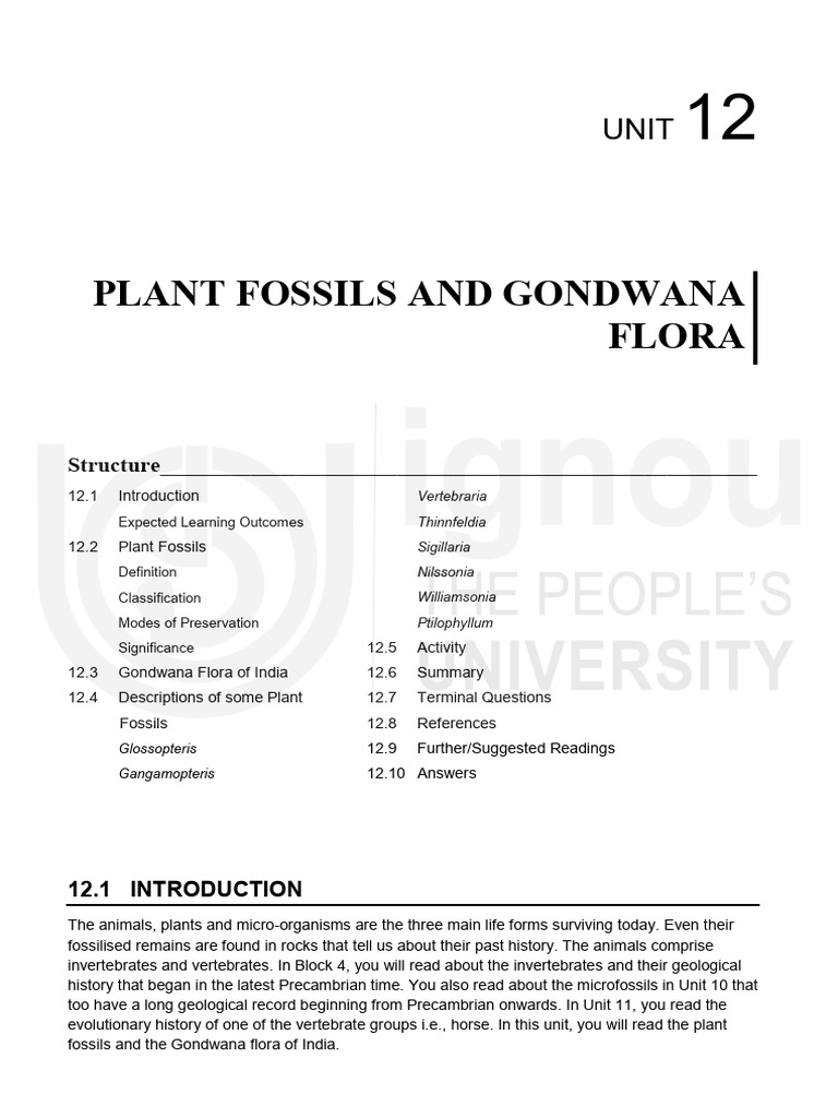 Plant Fossils and Gondwana Flora | PDF | Leaf | Plants