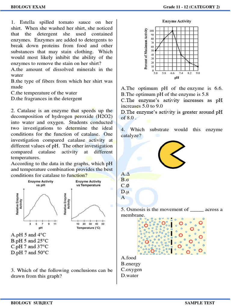 Biology Category 2 11th - 12th Grades SAMPLE TEST | PDF | Catalase | Enzyme