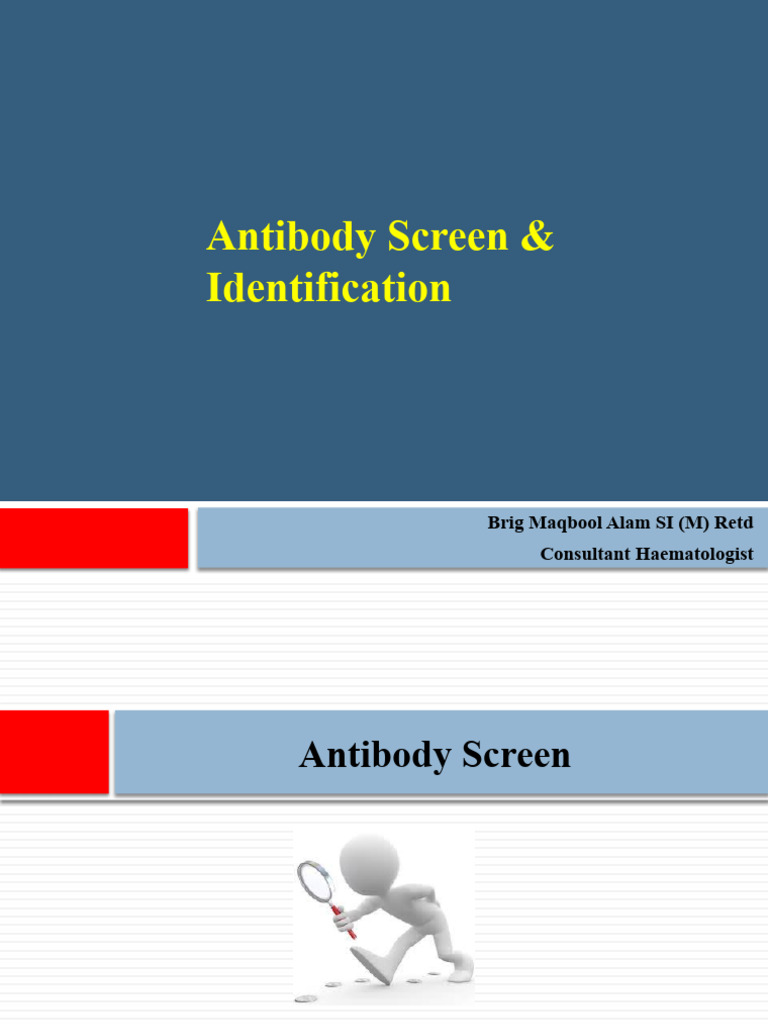Antibody Screening and Identification Guide | PDF | Blood Donation ...
