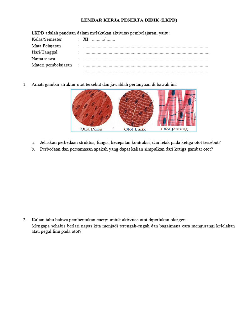 Materi & LKPD Otot | PDF