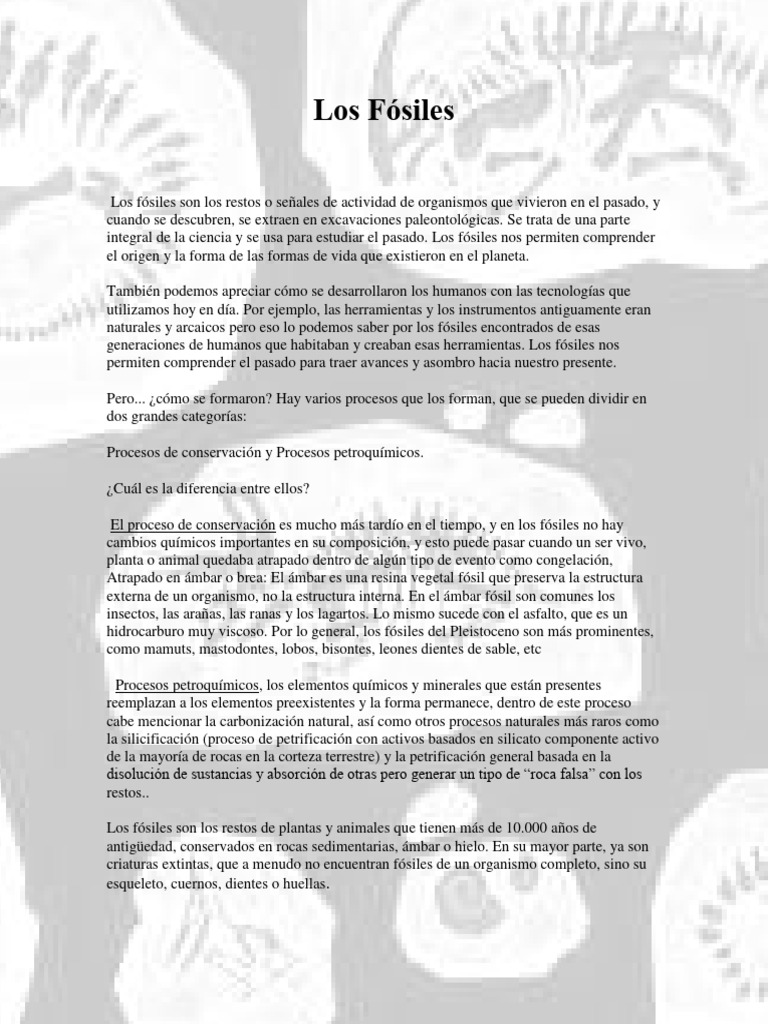 Los Fósiles | PDF | Fósil