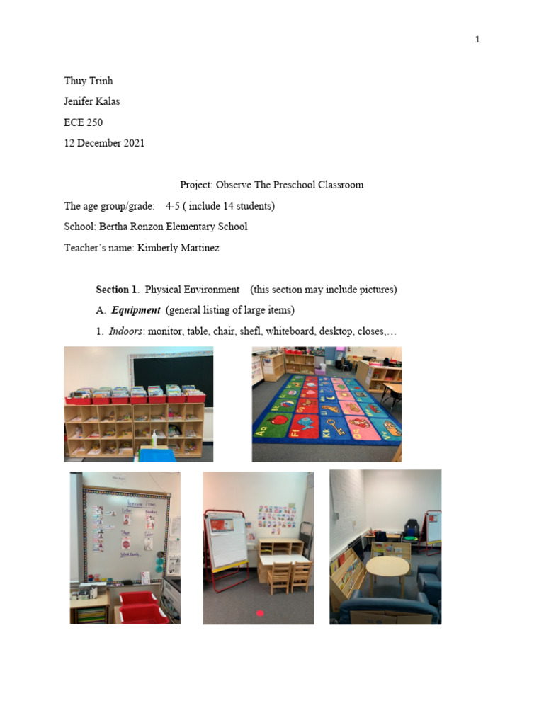 Project Final | Download Free PDF | Cognition | Learning