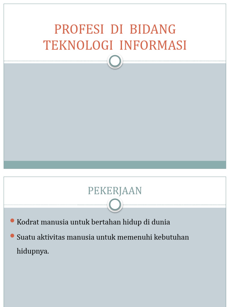 Karir Dan Profesi TI | PDF