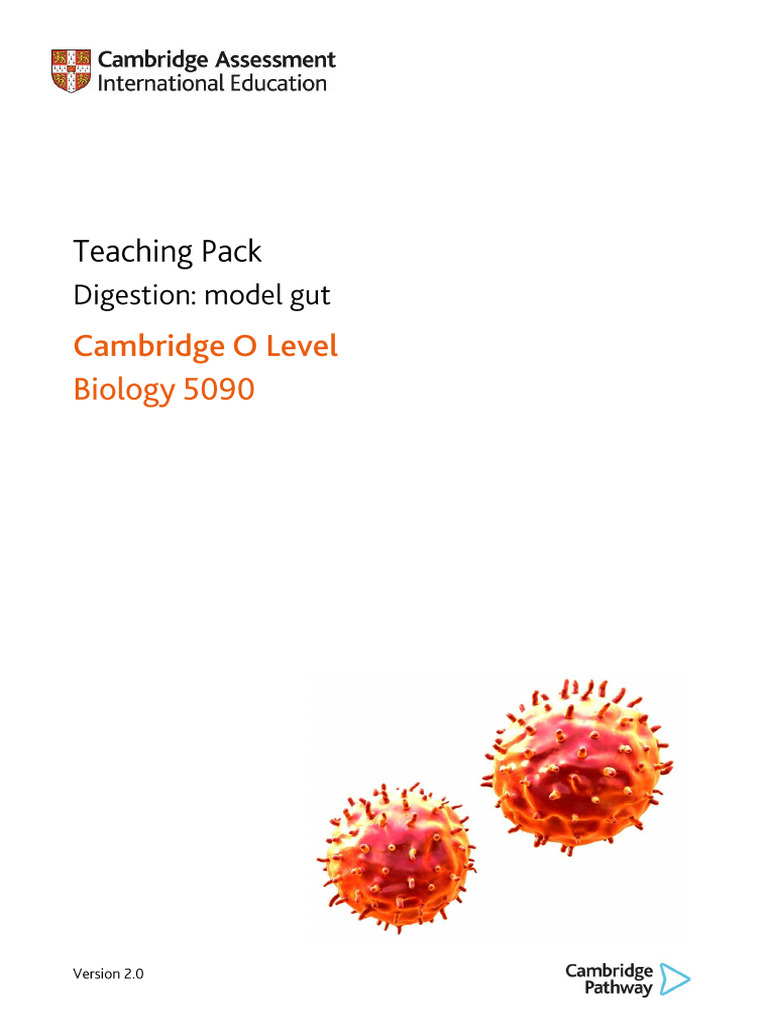 5090 TP Digestion v2 | PDF | Laboratories | Learning