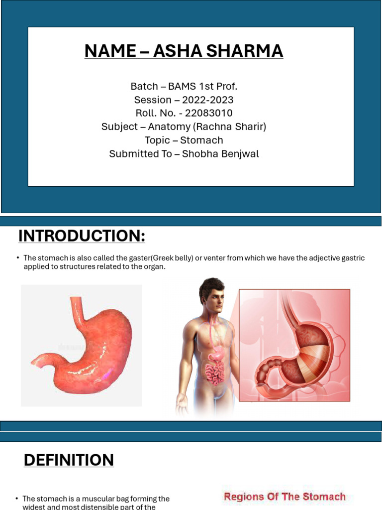 Name - Asha Sharma | PDF | Stomach | Anatomy