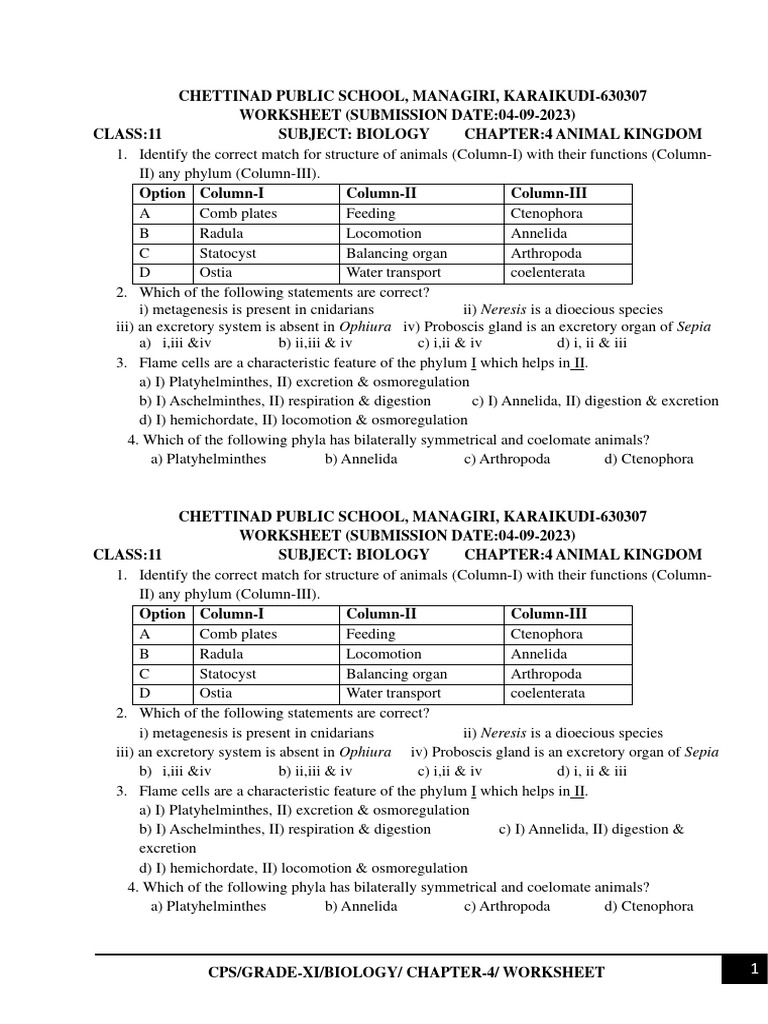Animal Kingdom WORKSHEET | PDF | Zoology | Biology