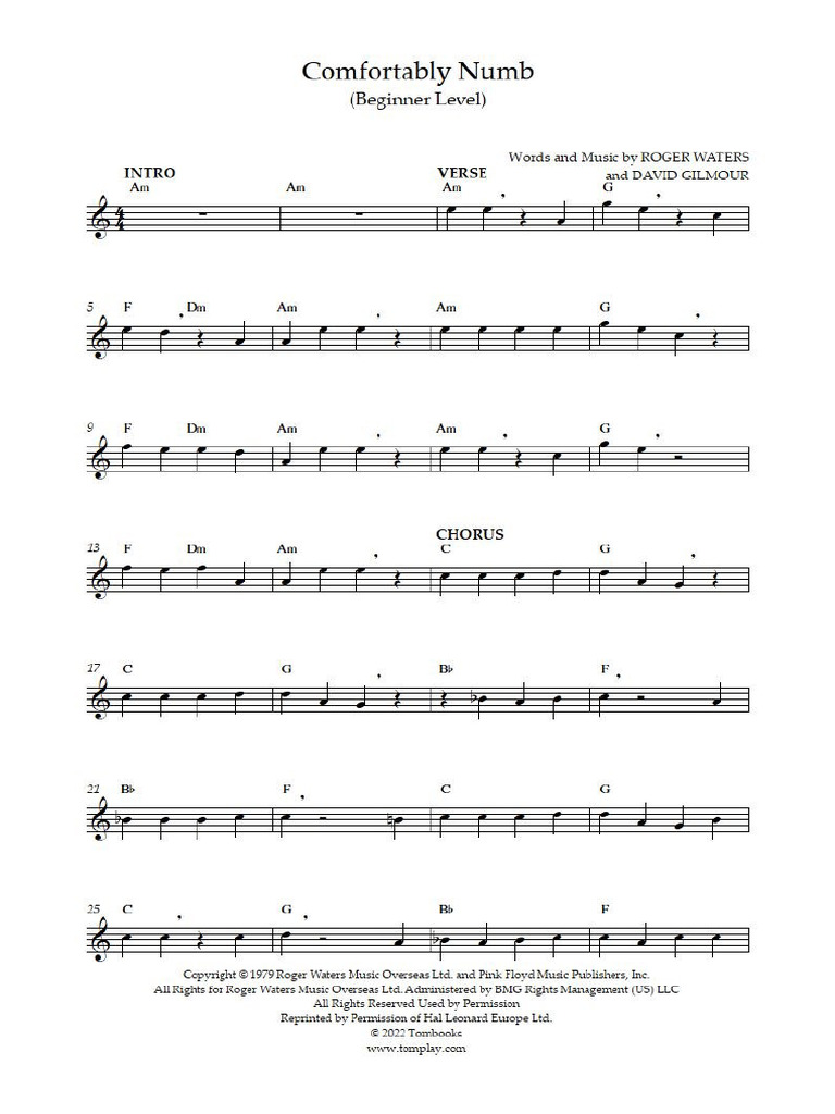 Comfortably Numb (Beginner Level) (Beginner) - Pink Floyd - Flute Sheet Music | PDF