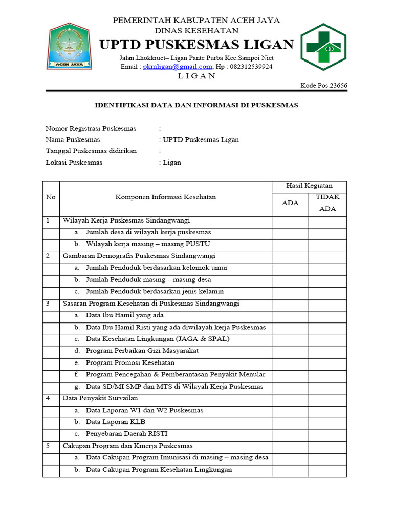 1241 Identifikasi Data Dan Informasi Di Puskesmas | PDF