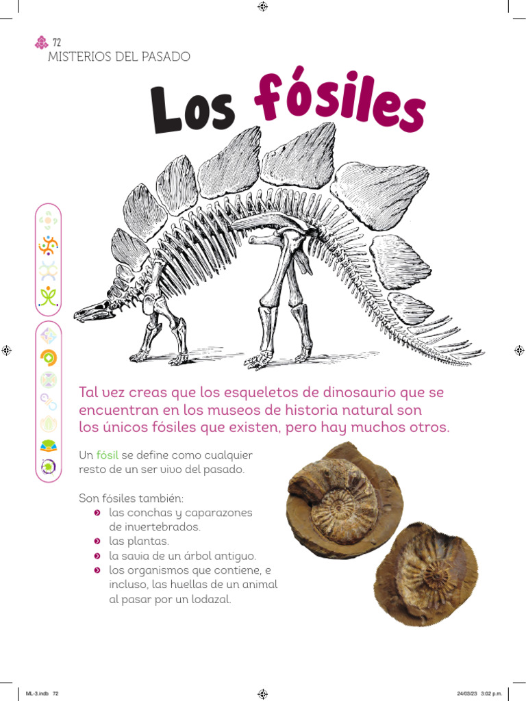 Los Fósiles | PDF | Fósil | Naturaleza