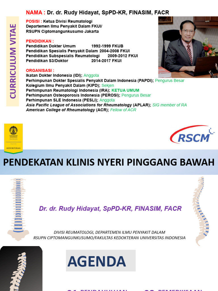 DR Rudy - Low Back Pain-Symptom 10122024 | PDF
