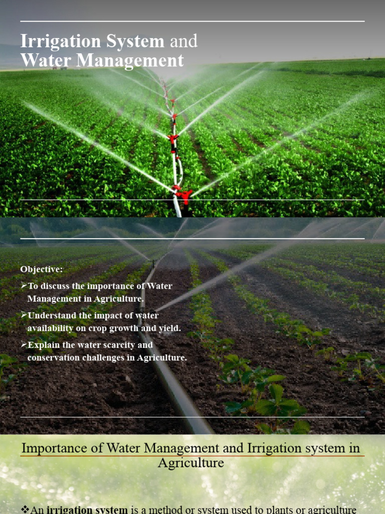 Irrigation System and Water Management | PDF | Water | Agriculture