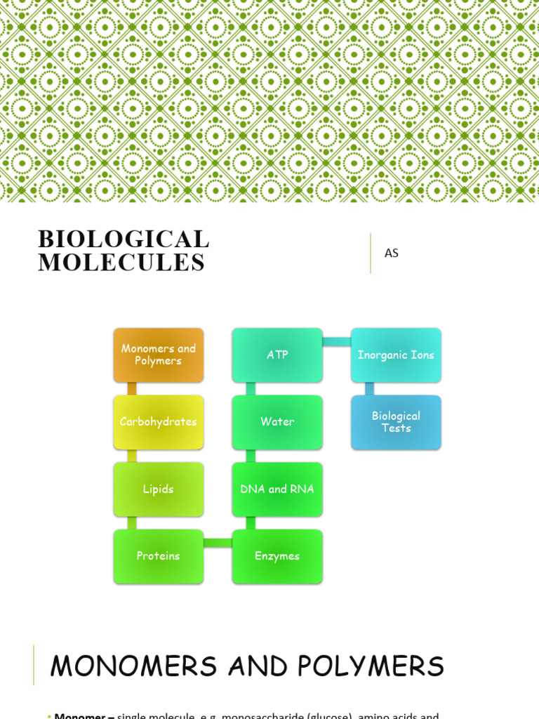 Biological Molecules | PDF | Base Pair | Dna