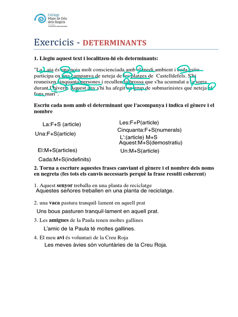 Exercicis Determinants | PDF