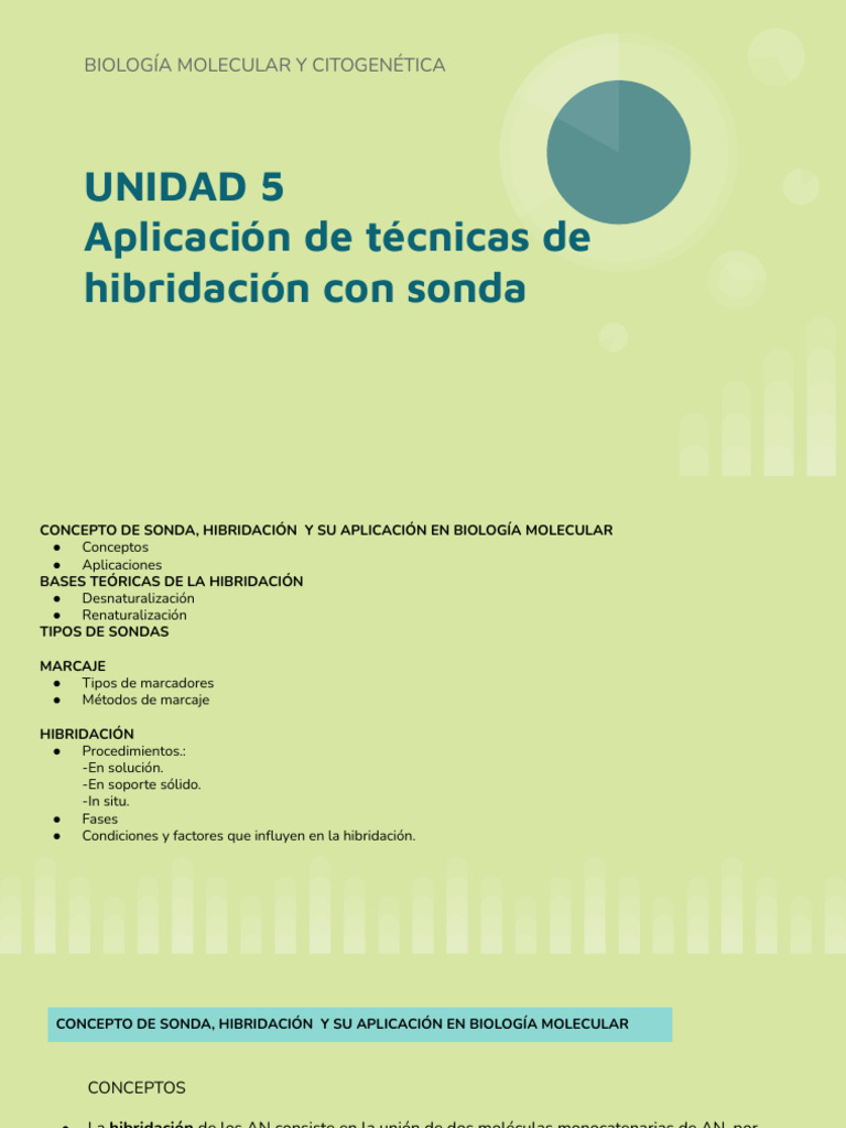 UNIDAD 5 T-Cnicas de Hibridaci-N Con Sonda | Descargar gratis PDF | Hibridación de ácido ...