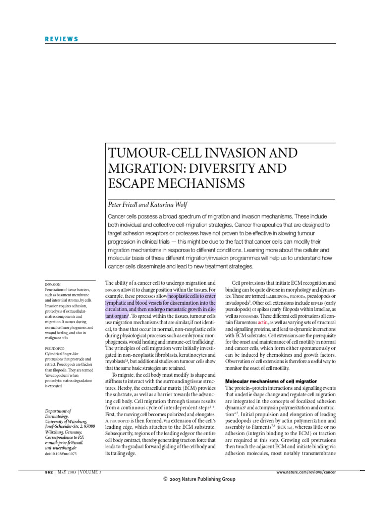 Cancer Cell Escape Mechanism | PDF | Cell Migration | Extracellular Matrix