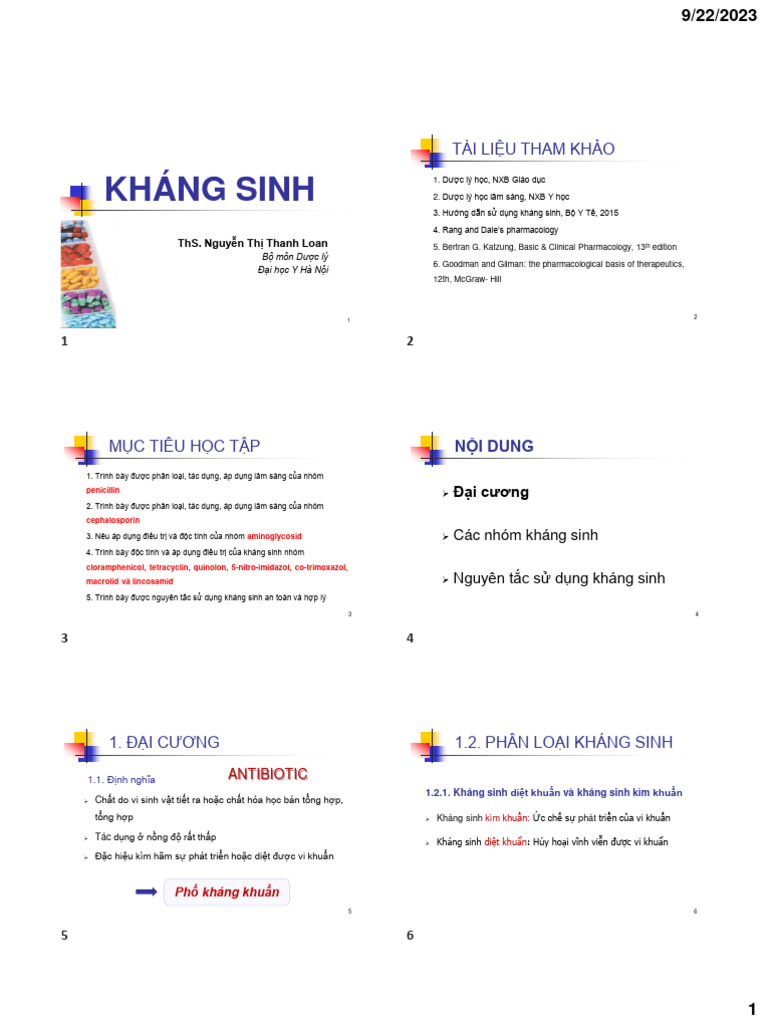 Kháng Sinh DLCB | PDF