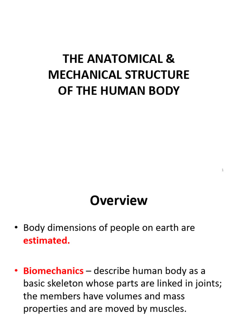 Human Body Anatomy and Biomechanics | PDF | Anthropometry | Shoulder