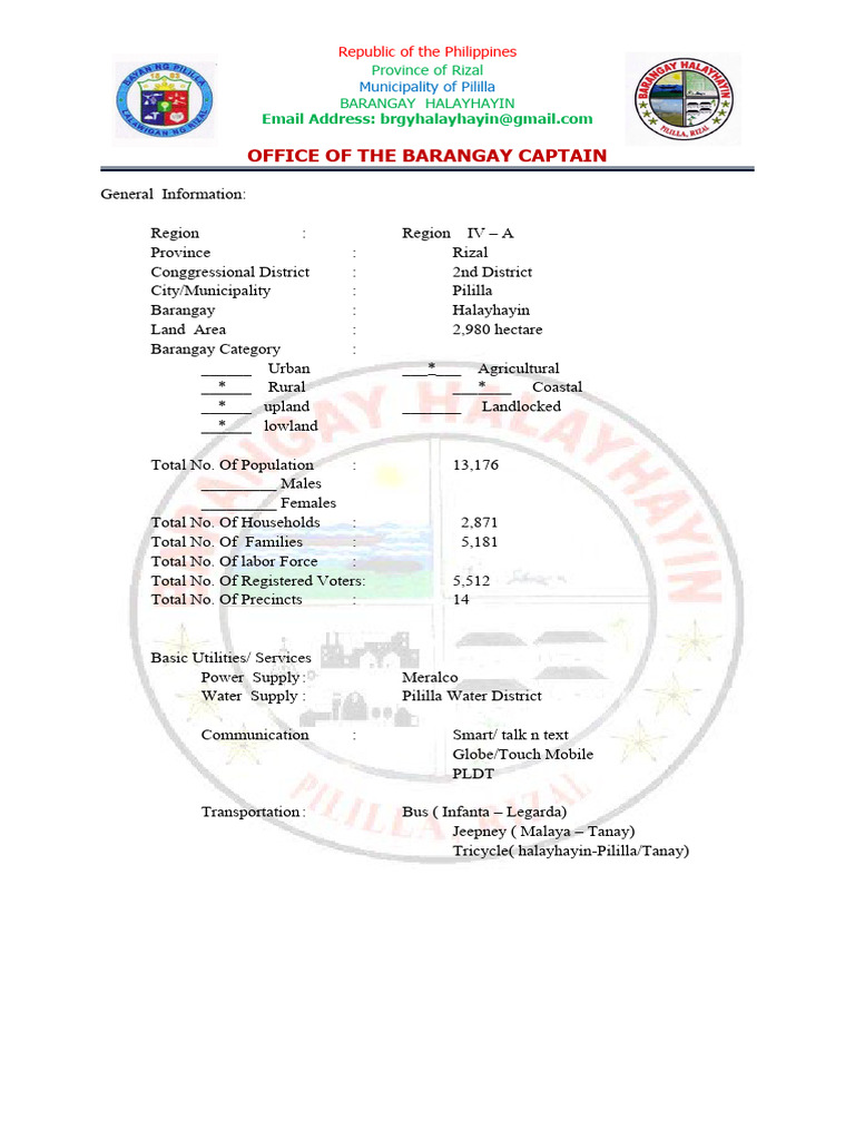 Barangay Profile3 | PDF