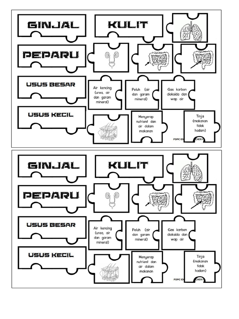 Perkumuhan Dan Penyahtinjaan SNT4-puzzle | PDF