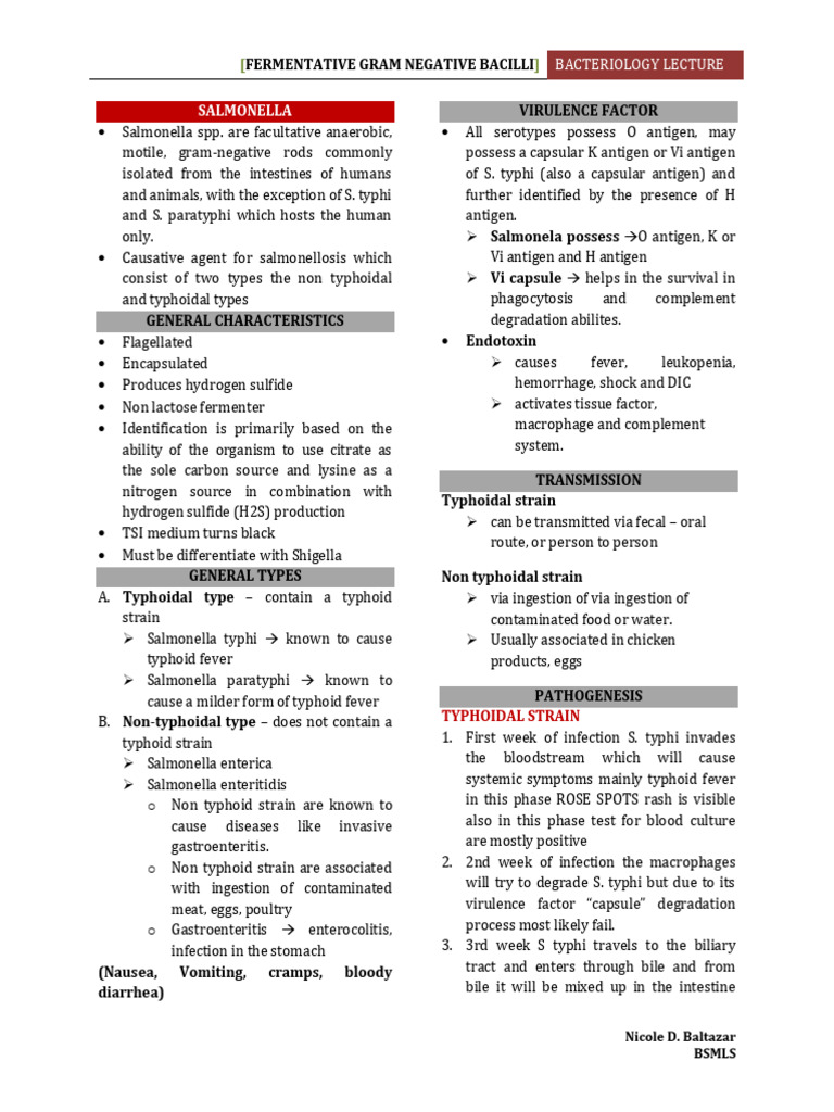 Fermentative Gram Negative Bacilli (Part 2) | PDF | Salmonella ...